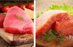 Tuna Vs Salmon Taste: Which is better for You? - Chef Tastes